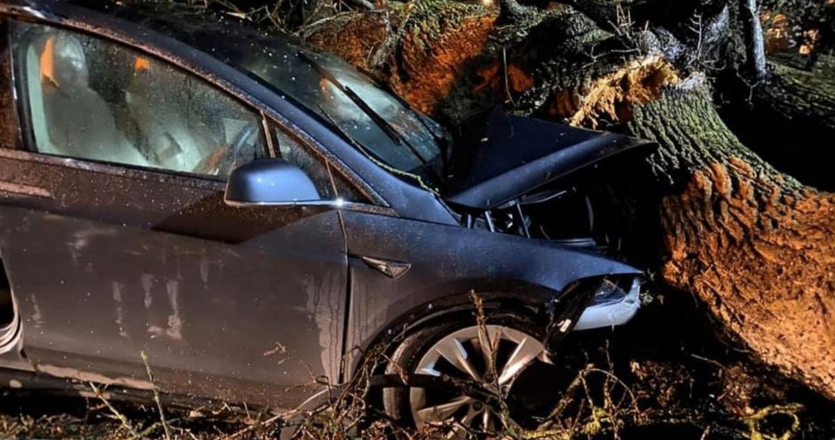 Tesla Model X: automatic brakes just saved two families from a falling tree